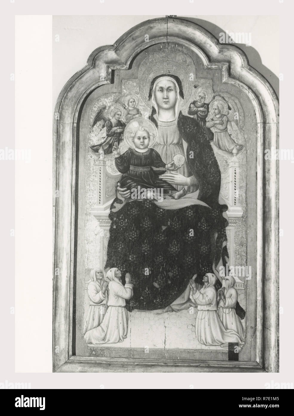 Marches Pesaro e Urbino Urbino Museo del Duomo "Albani", this is my ...