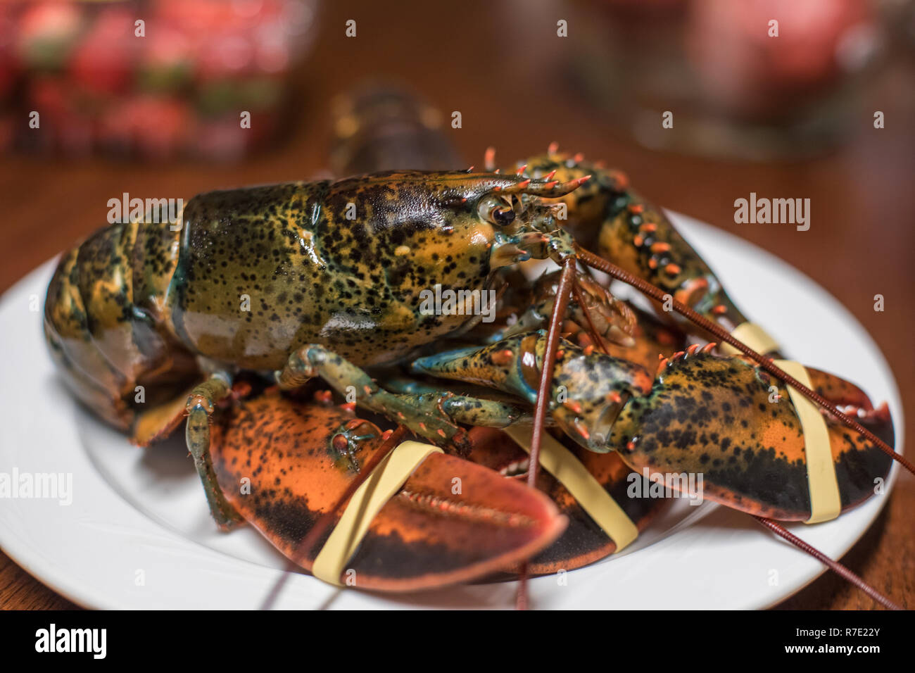 not cooked live big lobster on the table Stock Photo - Alamy