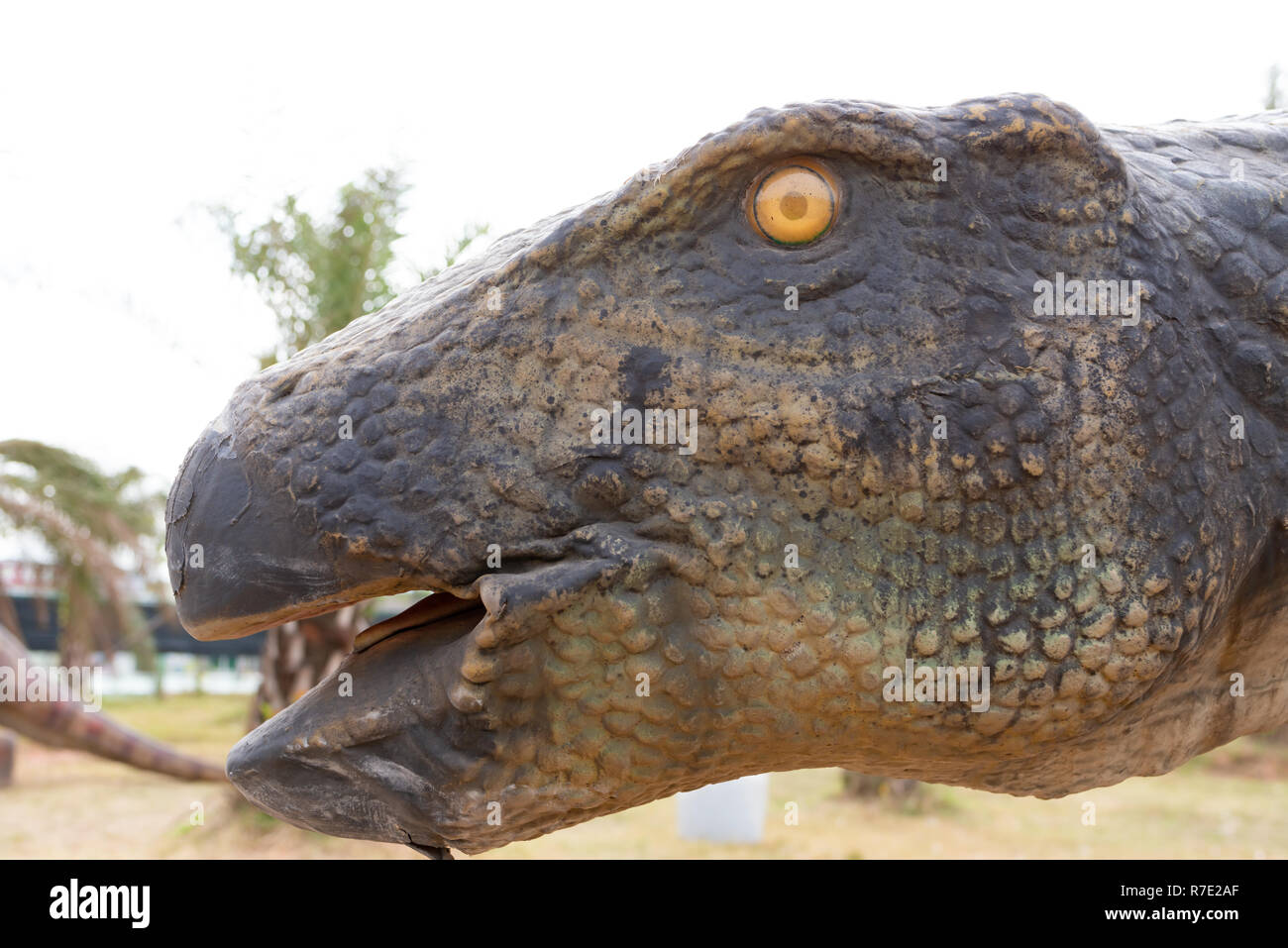 dinosaur head close up Stock Photo - Alamy