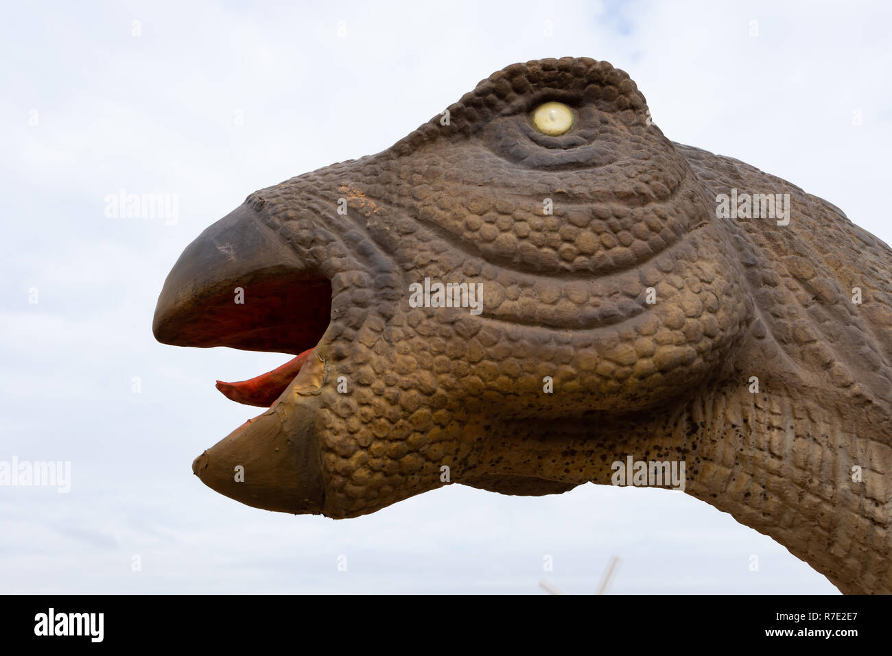 dinosaur head close up Stock Photo - Alamy
