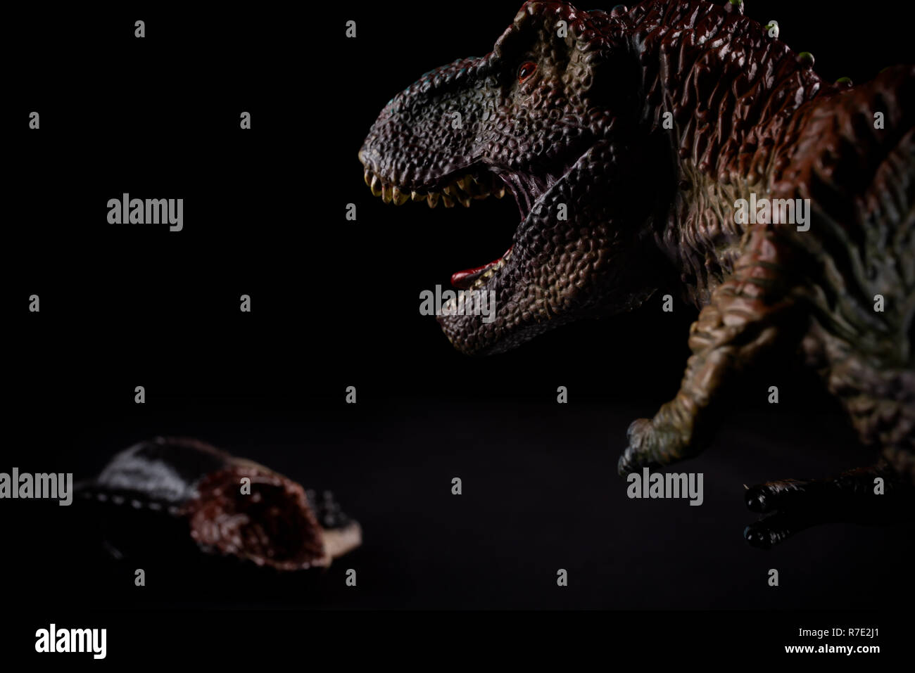 tyrannosaurus in front of a dinosaur body on dark background Stock ...