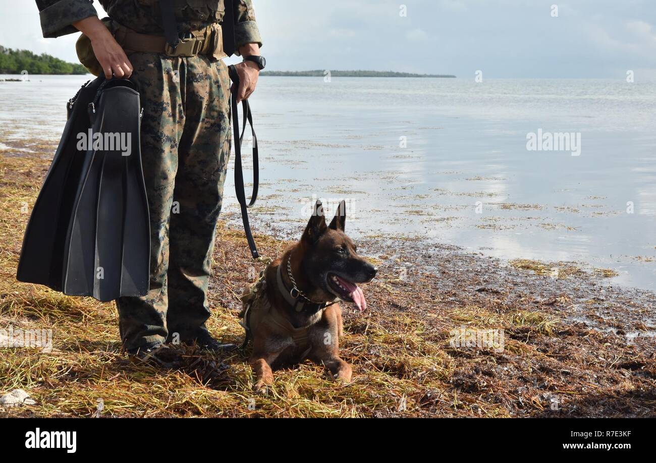 Special purpose vessels hi-res stock photography and images - Alamy