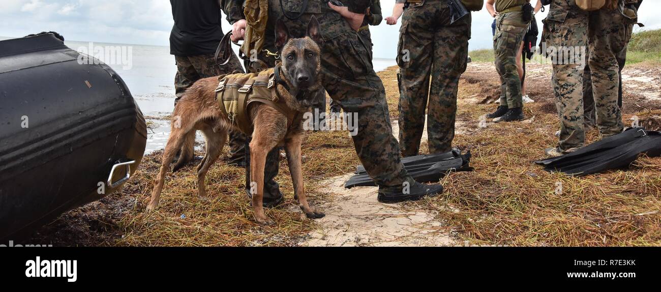 KEY WEST, Fla. (Nov. 27, 2018) Marine Raiders from Marine Corps Forces ...
