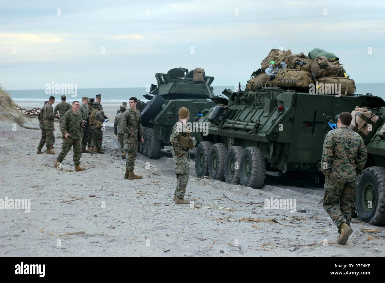Marines guide light armored vehicles onto Onslow Beach, Camp Lejeune ...