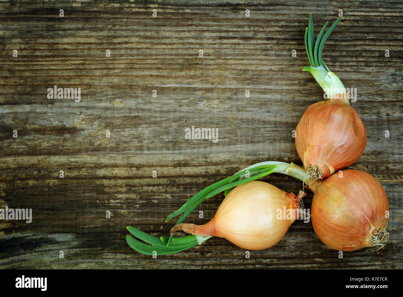 Table corner composition hi-res stock photography and images - Alamy