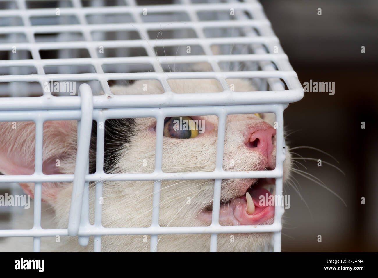 Ketamine hi-res stock photography and images - Alamy