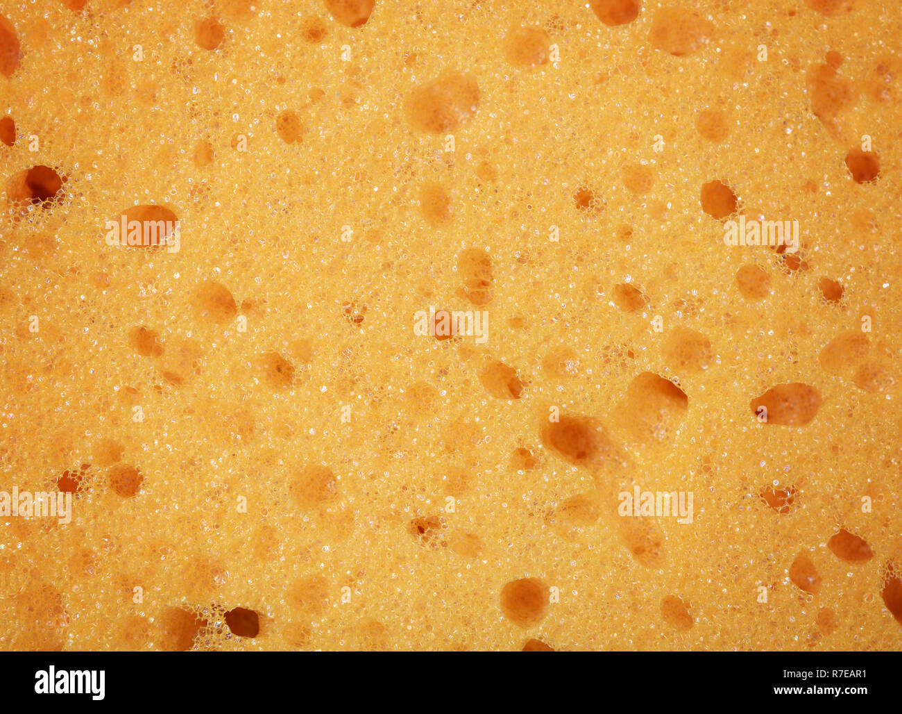 Porous sponge texture for background Stock Photo - Alamy