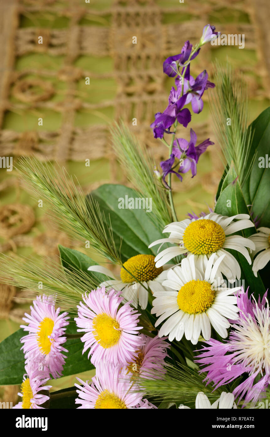 Wild flowers on beige embroidered background Stock Photo - Alamy