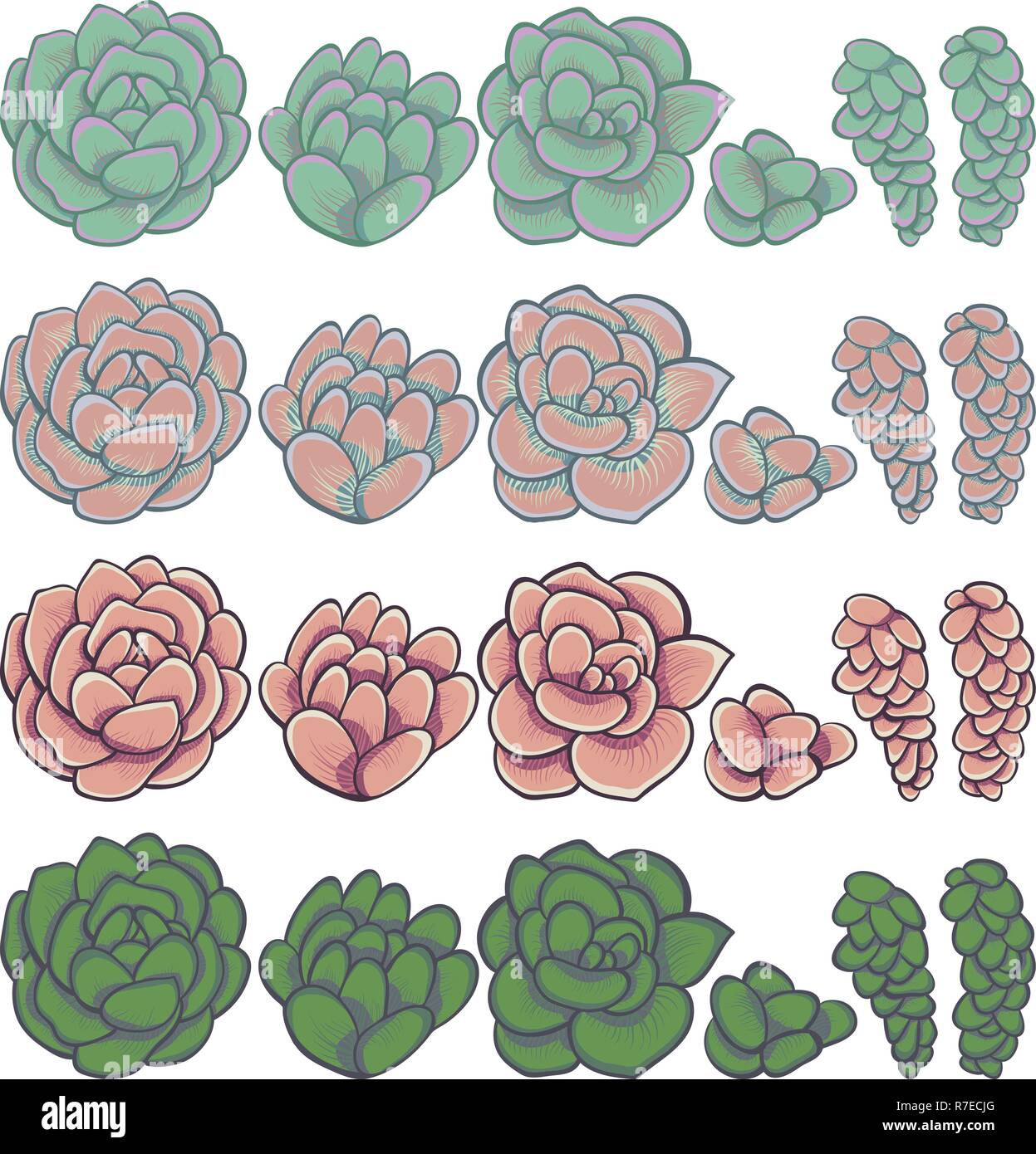 Collection on hand drawn succulents - vector drawing with ink and ...