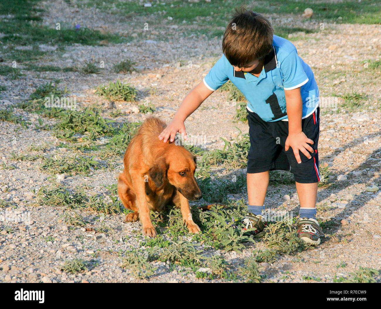 Child afraid dog hi-res stock photography and images - Alamy
