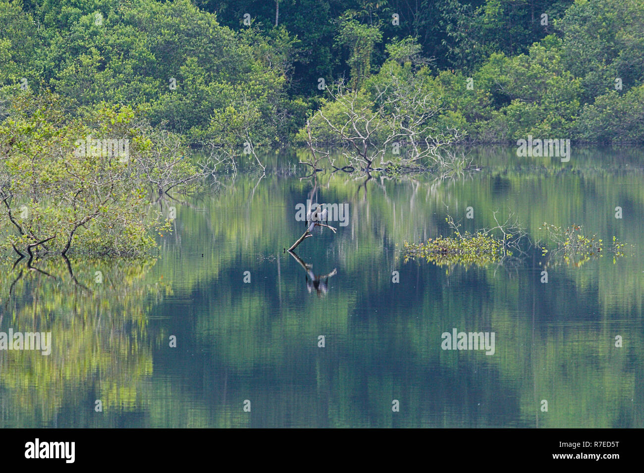 Labugama hi-res stock photography and images - Alamy