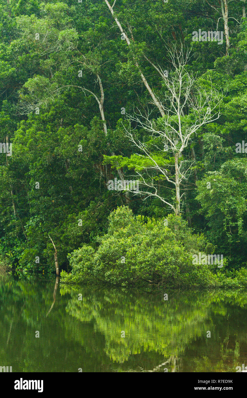 Labugama hi-res stock photography and images - Alamy