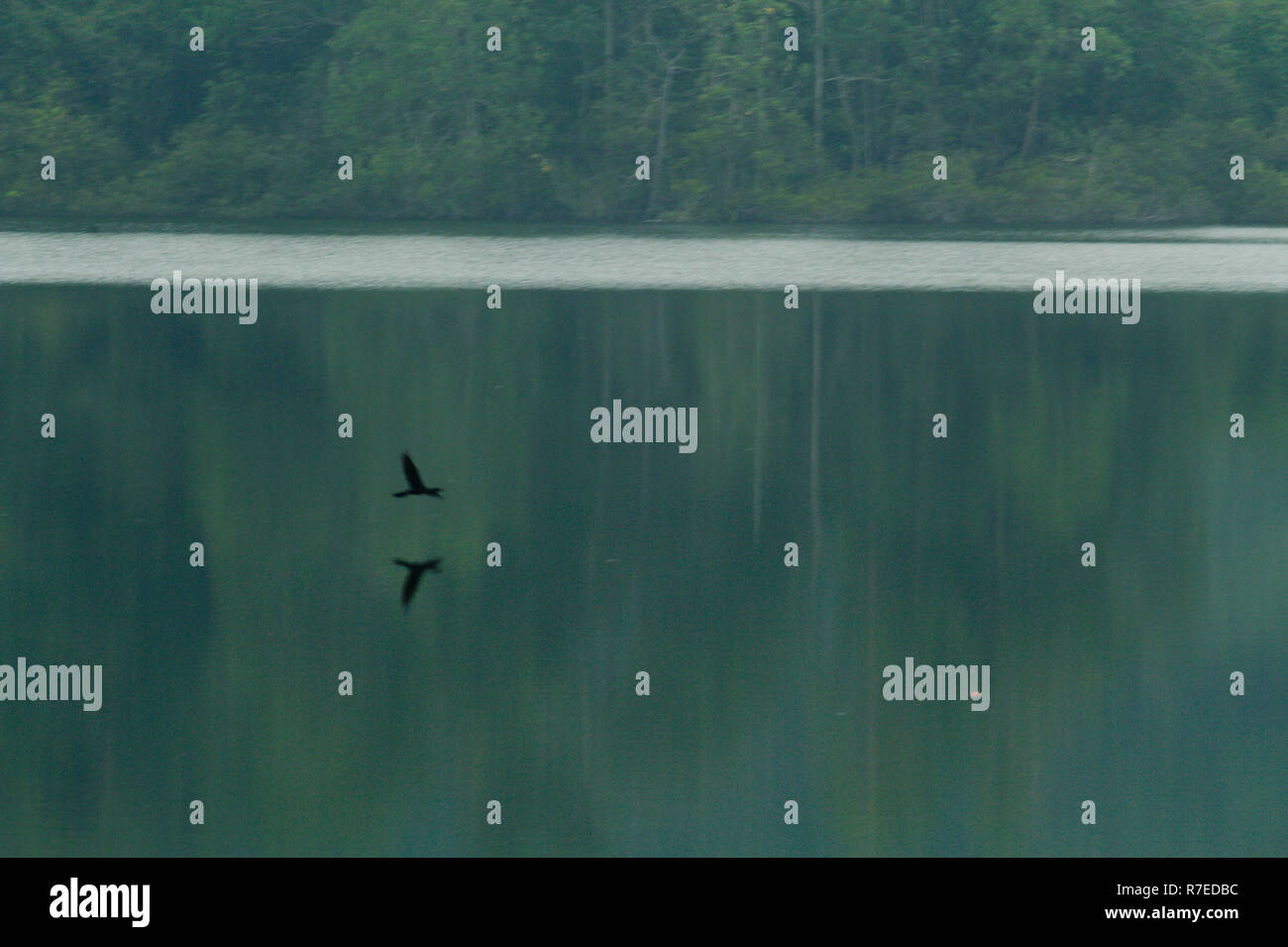 Labugama hi-res stock photography and images - Alamy