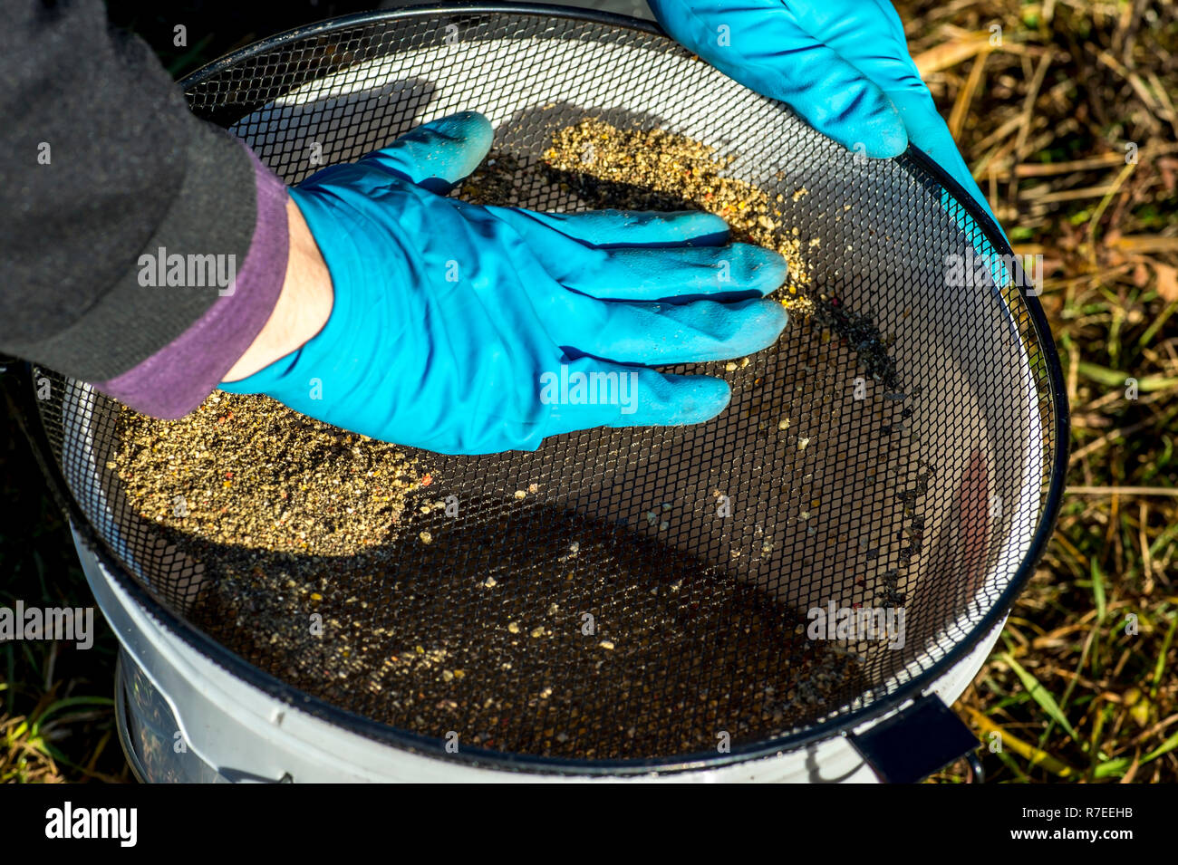 Sieve feeder hi-res stock photography and images - Alamy