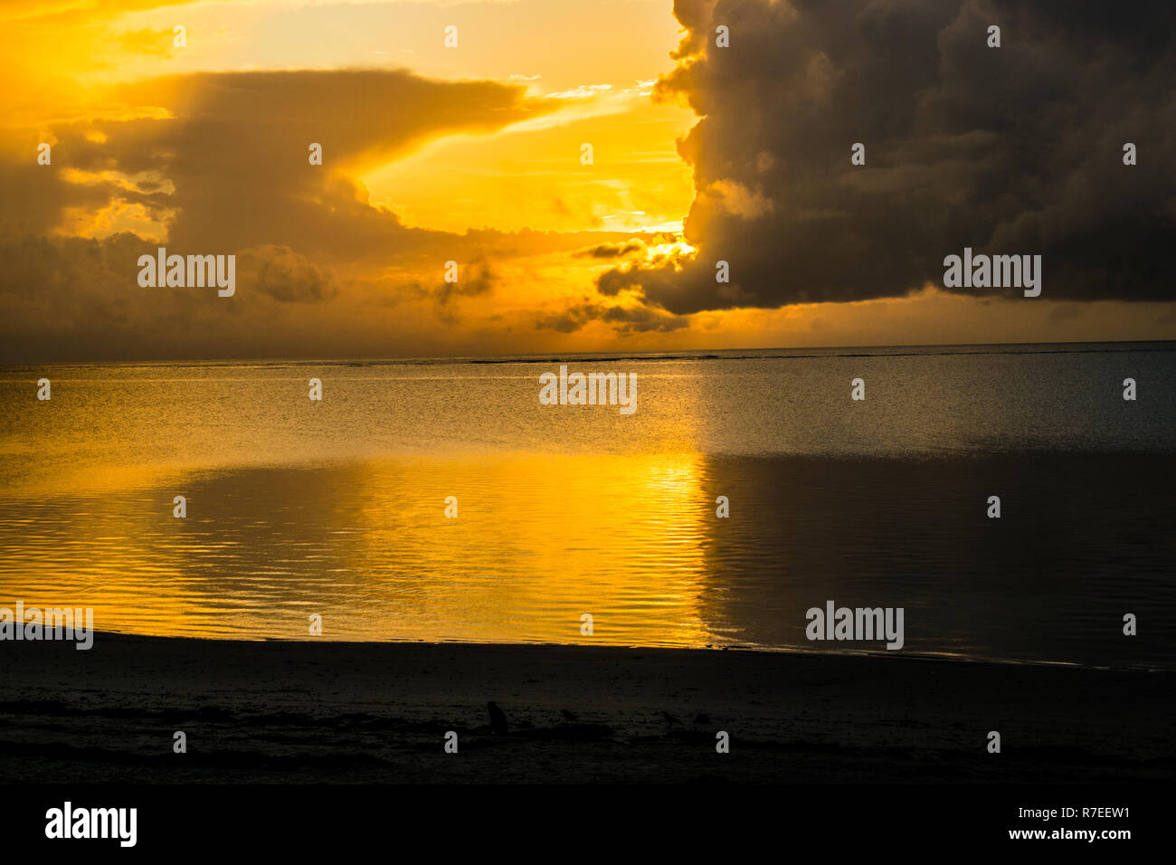 Beautiful sunrise at the Beach in Mombasa, Kenya Stock Photo - Alamy