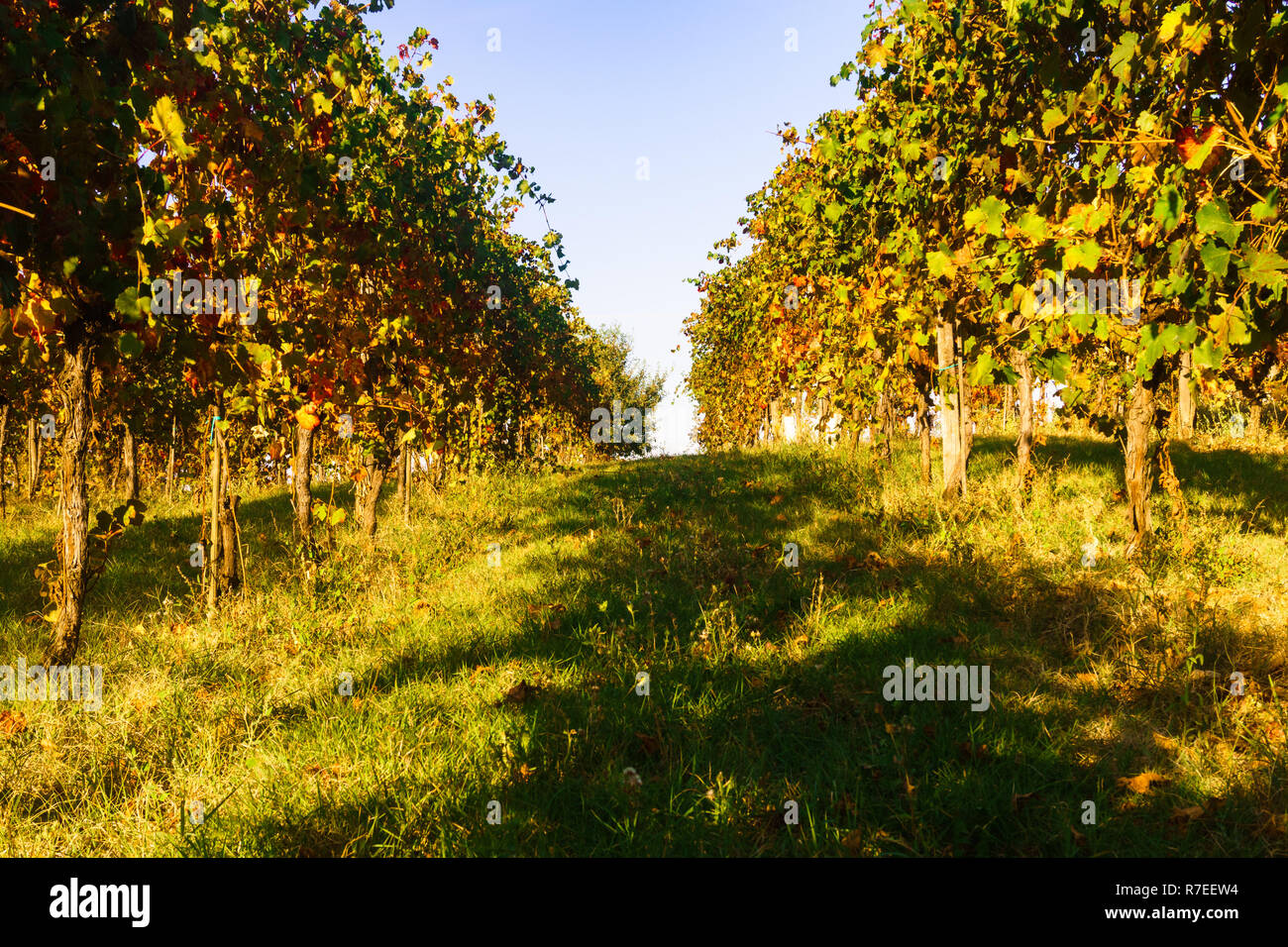 Modena hills hi-res stock photography and images - Alamy