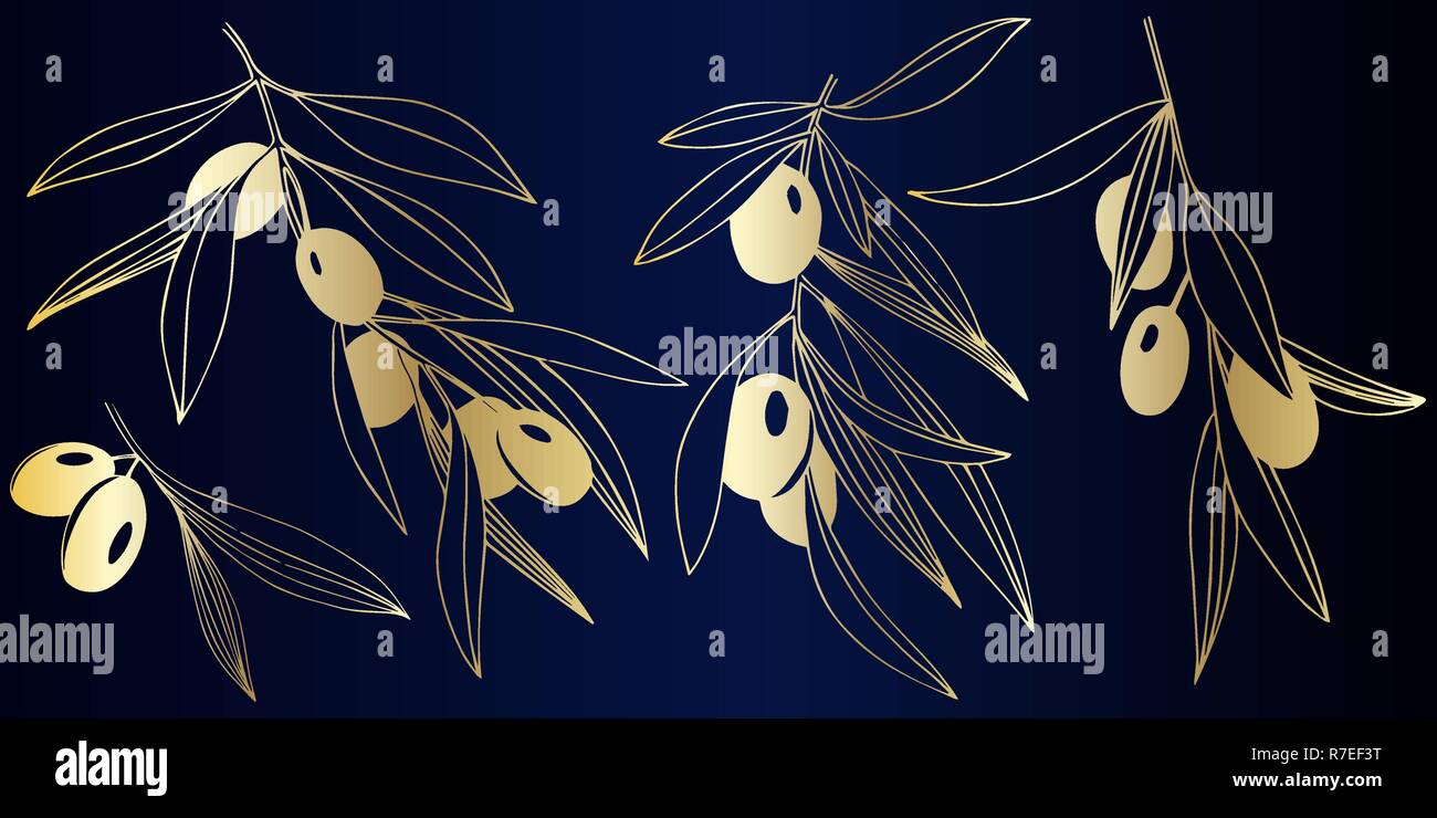 Olive Botanical