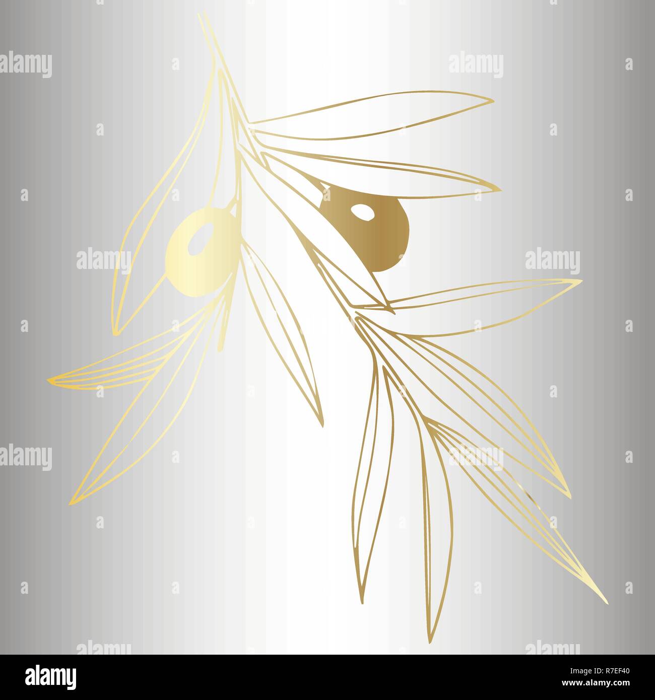 Vector Golden olive branch. Plant botanical foliage. Golden engraved ...