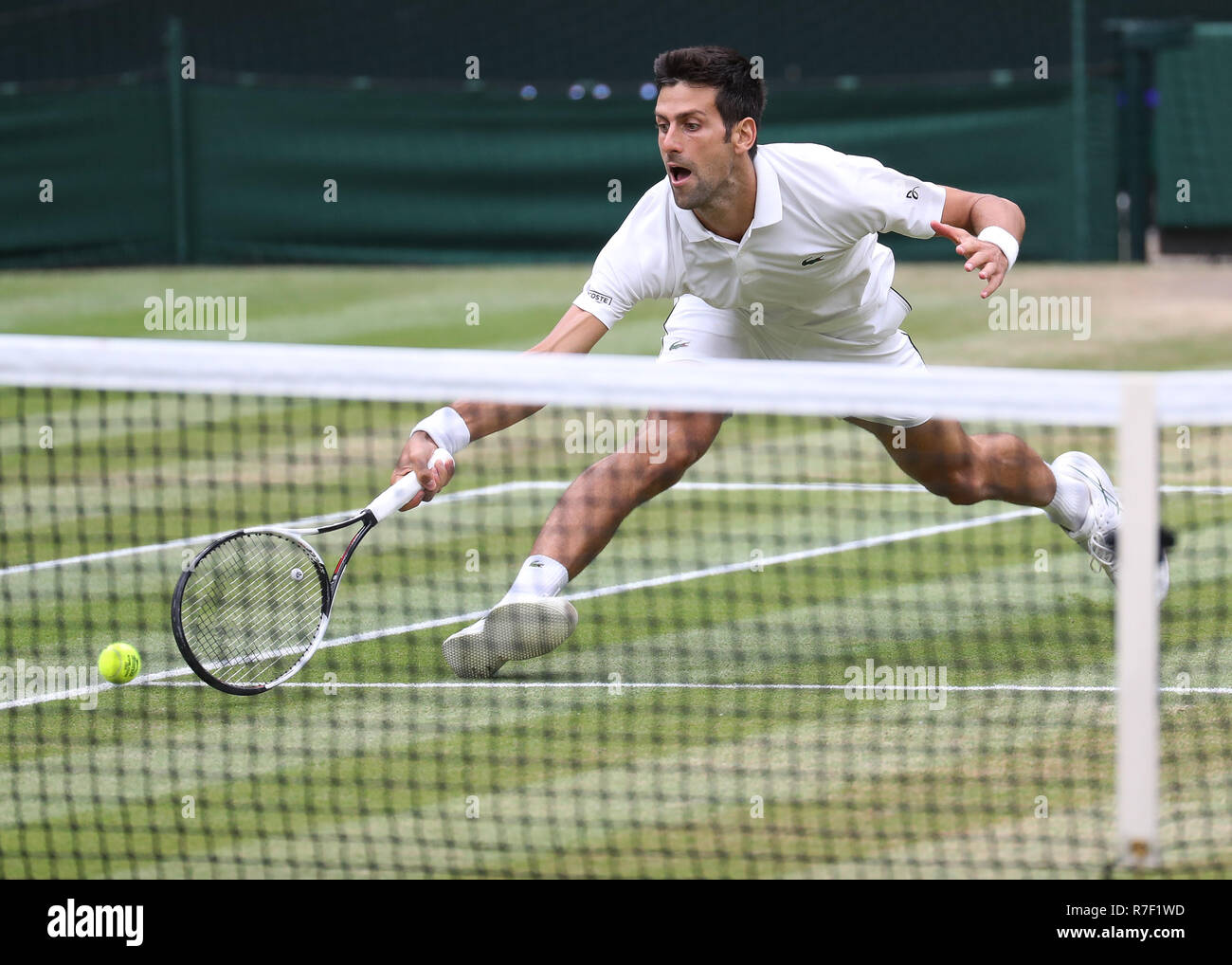 Novak djokovic stretching hi-res stock photography and images - Alamy