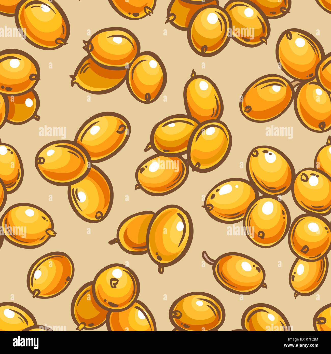 Vector berries sea buckthorn Stock Vector Images - Alamy