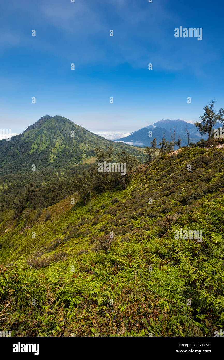Kawah Ijen landscape, Ijen crater, Banyuwangi, East Java, Indonesia ...