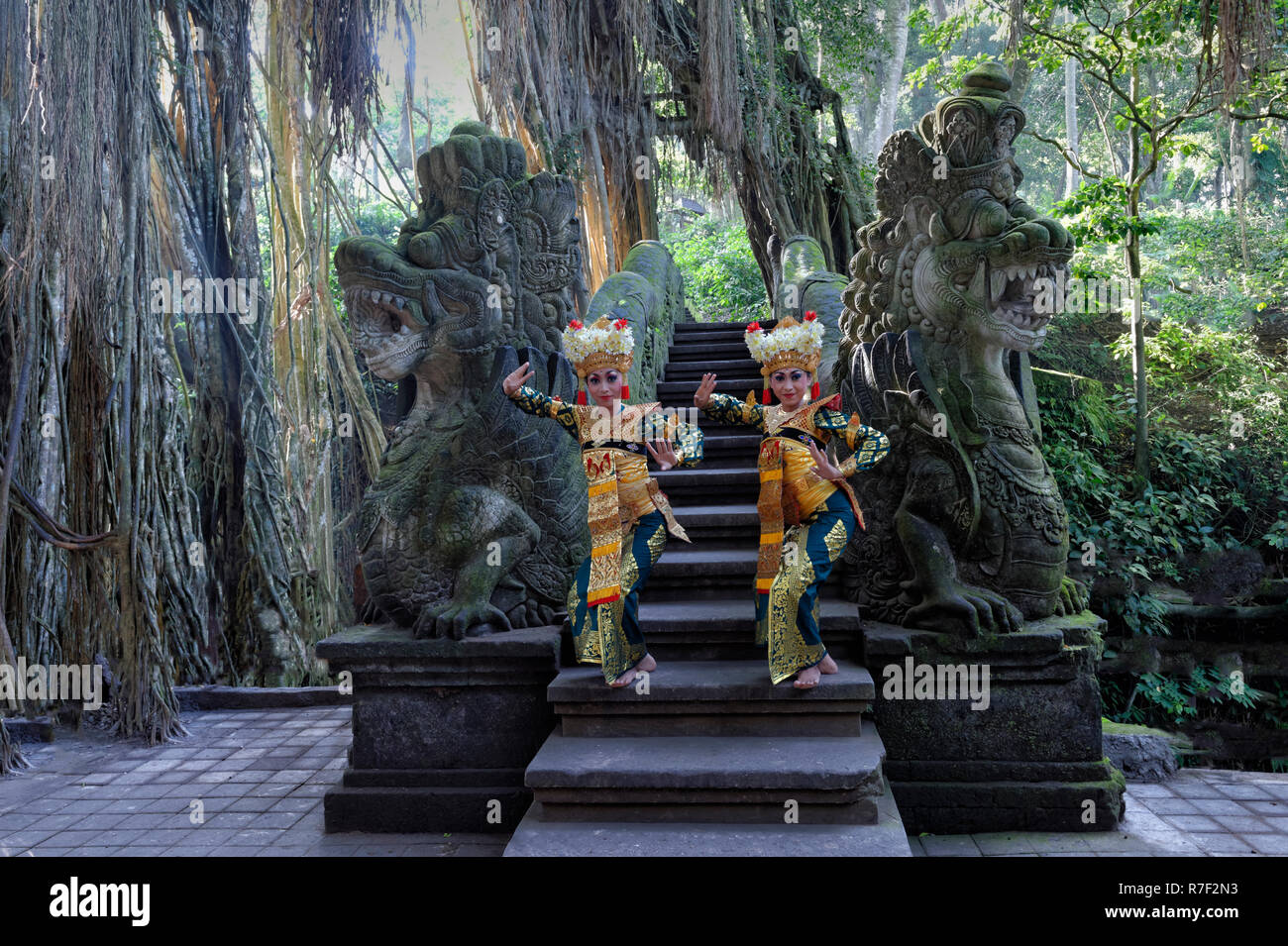 Monkey forest ubud bali hi-res stock photography and images - Alamy