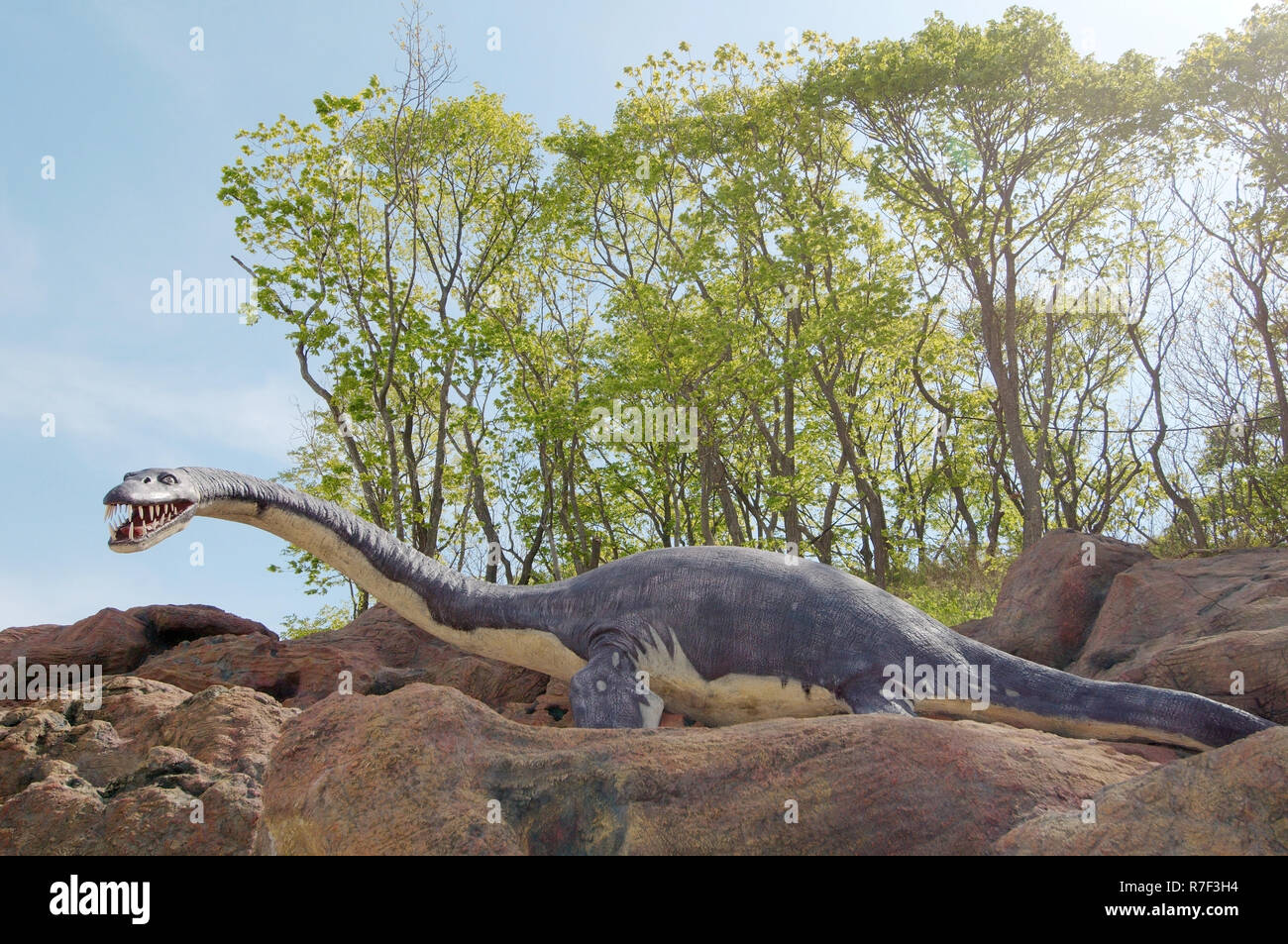 Sculpture, Plesiosauria, Augustasaurus, on the territory of the ...