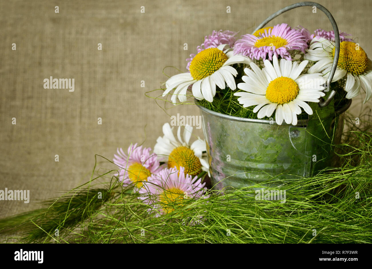 Bouquet of daisy flowers in a bucket hi-res stock photography and ...