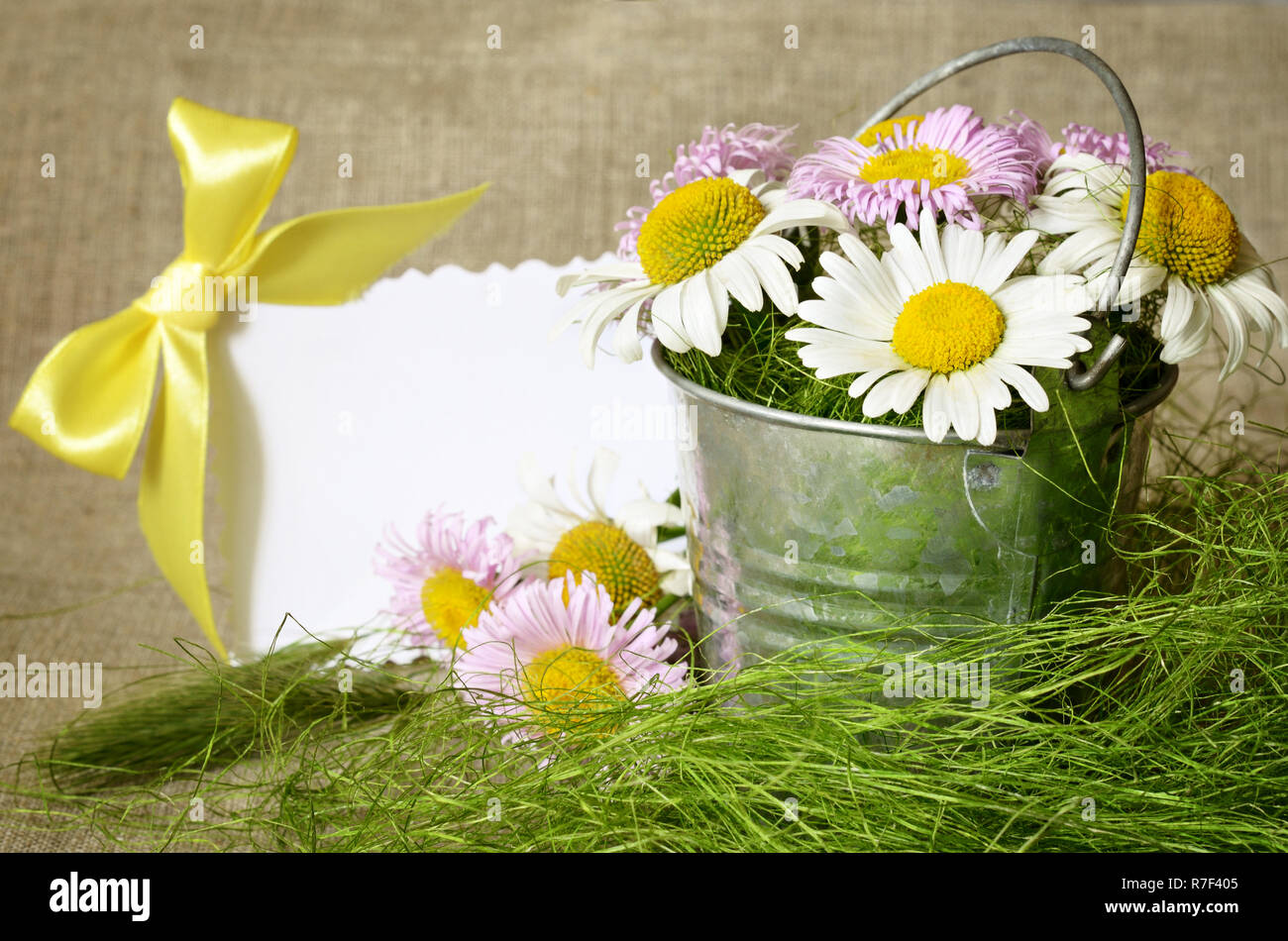 Bouquet of daisy flowers in a bucket hi-res stock photography and ...