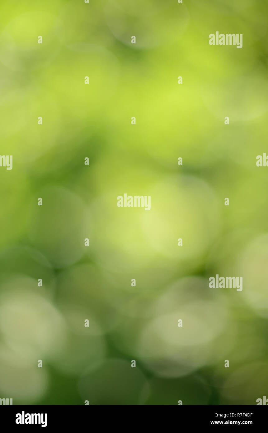 Green out of focus background Stock Photo - Alamy