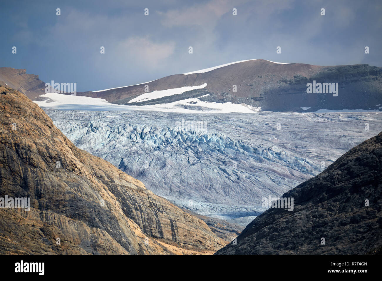 Iceline trail, Yoho NP, Canada Stock Photo - Alamy