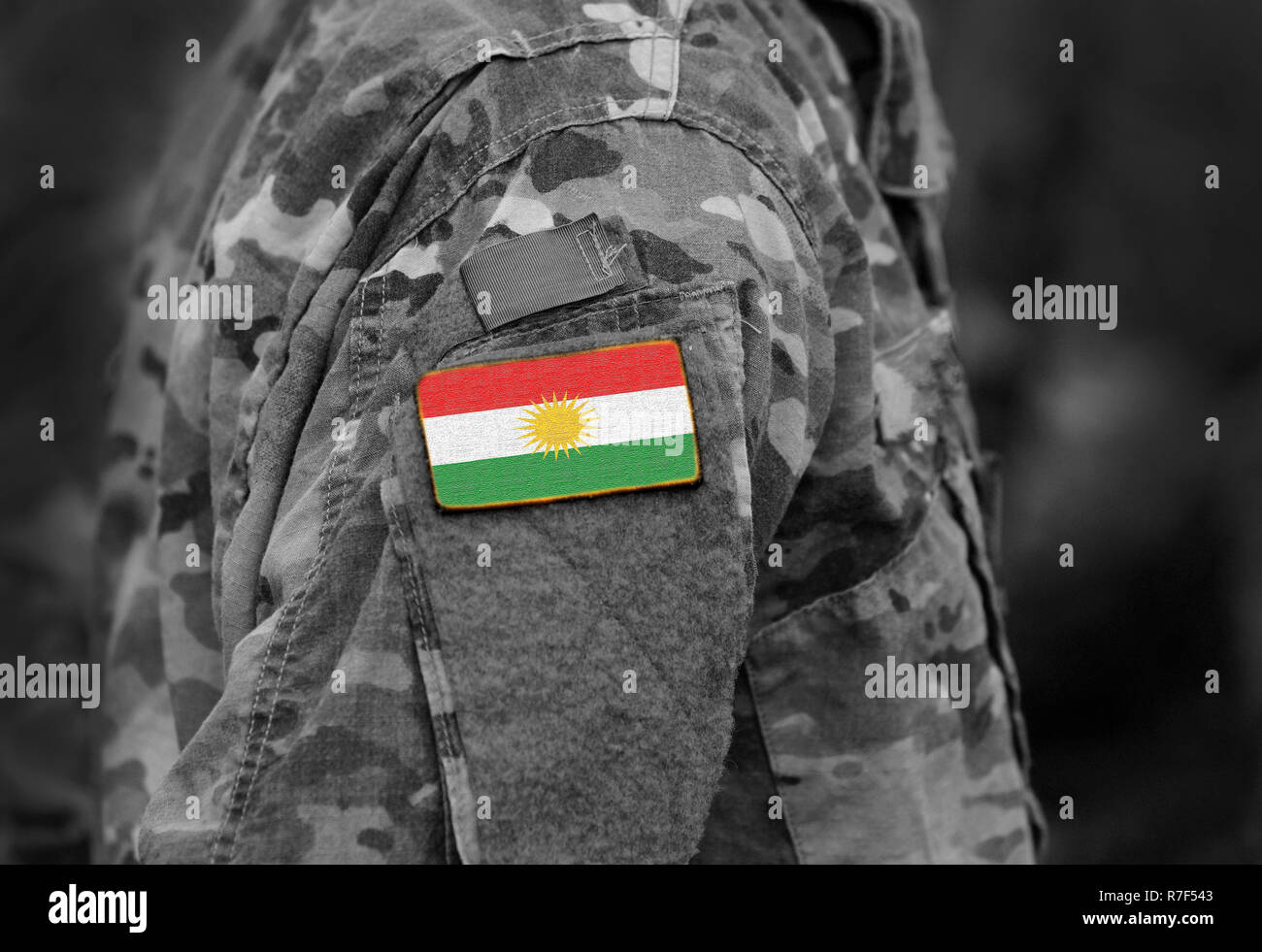 Flag of Kurdistan on soldiers arm. Flag of Kurdistan on military ...