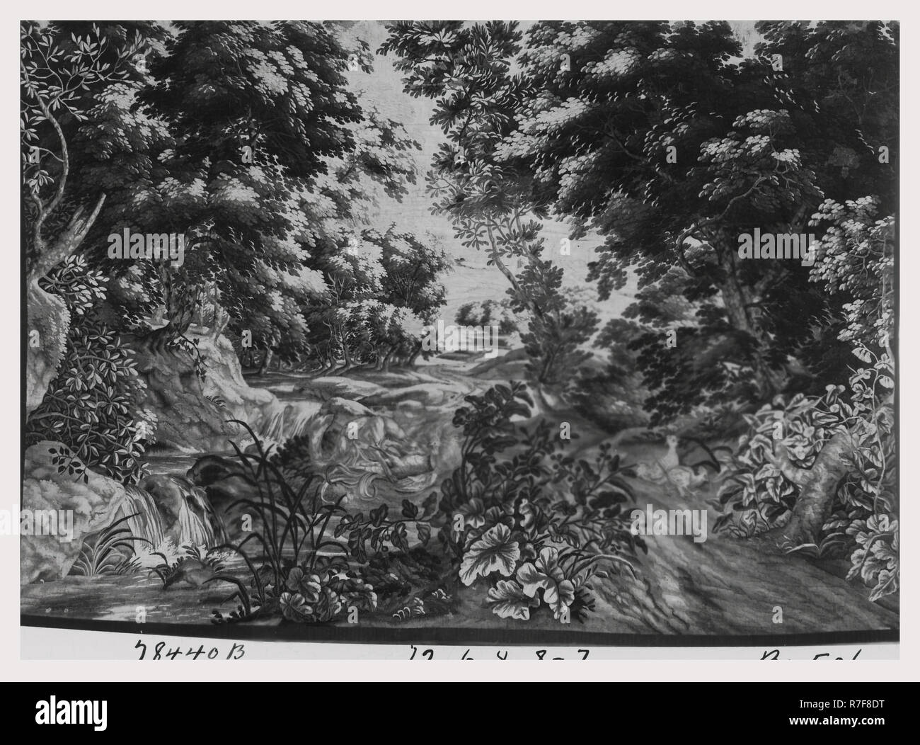 River landscape with fox catching bird in water Stock Photo - Alamy