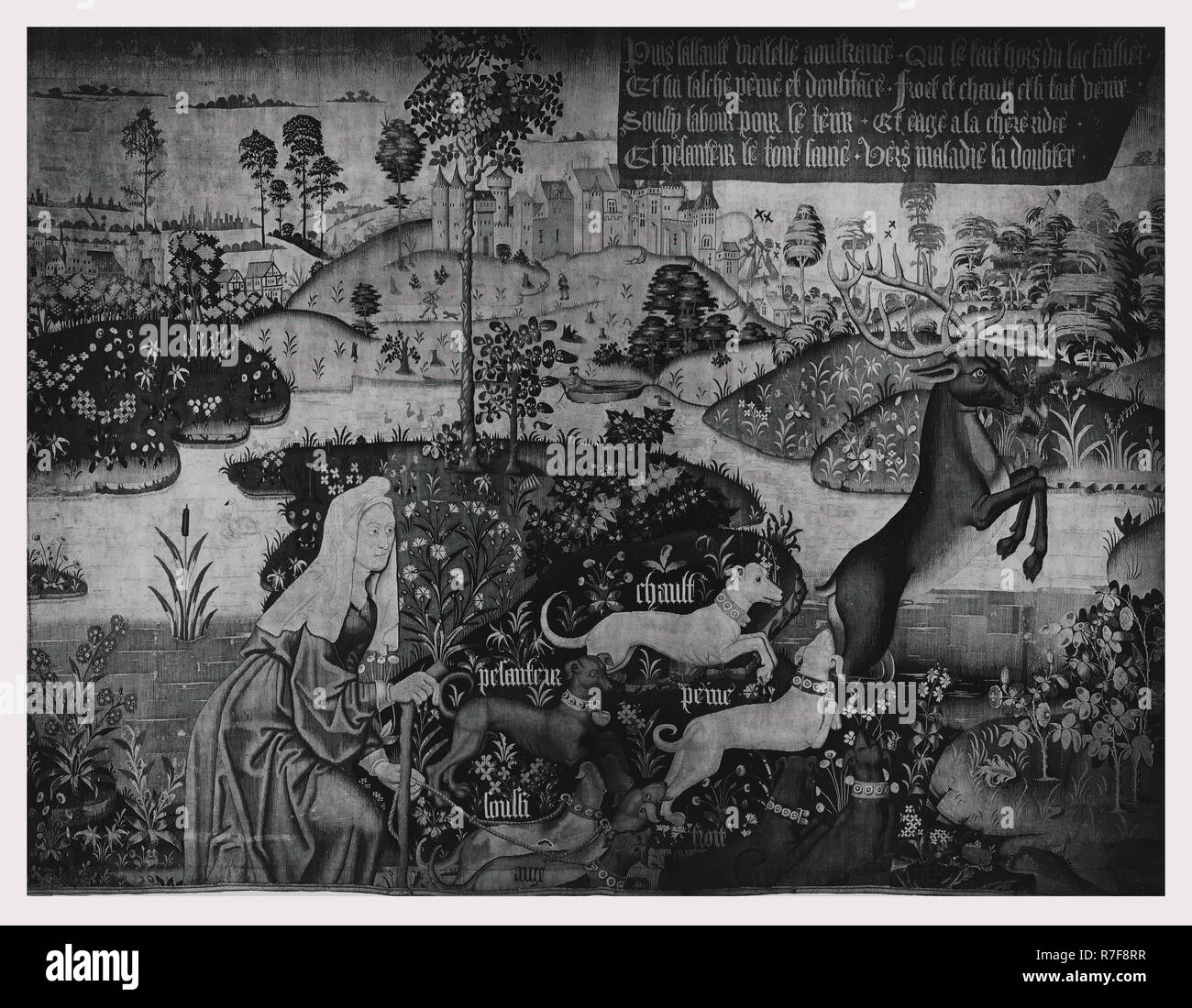 Stag in Old Age Stock Photo - Alamy