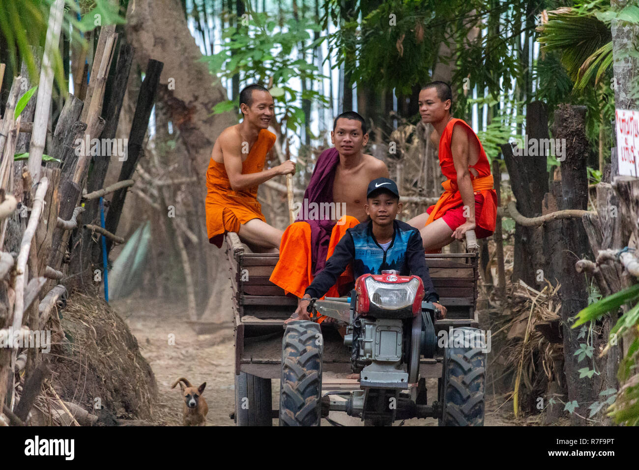 Don Daeng, Laos - April 27, 2018: Young buddhist monks sitting on a ...