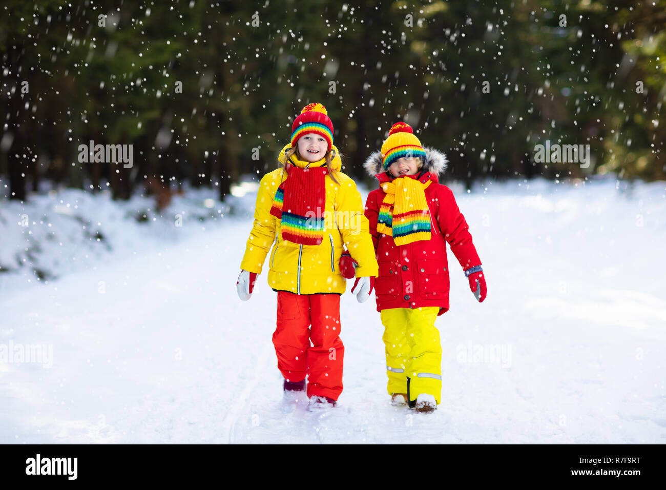 Kids playing in snow. Children play outdoors on snowy winter day. Boy ...
