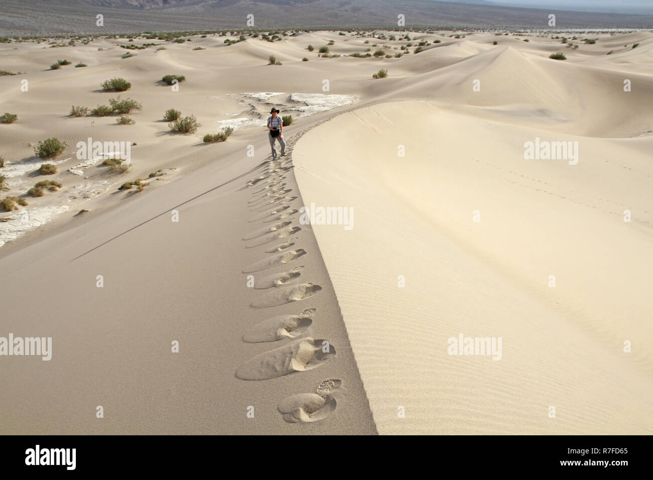 Tracks of human foot prints with woman standing for scale on top of a ...
