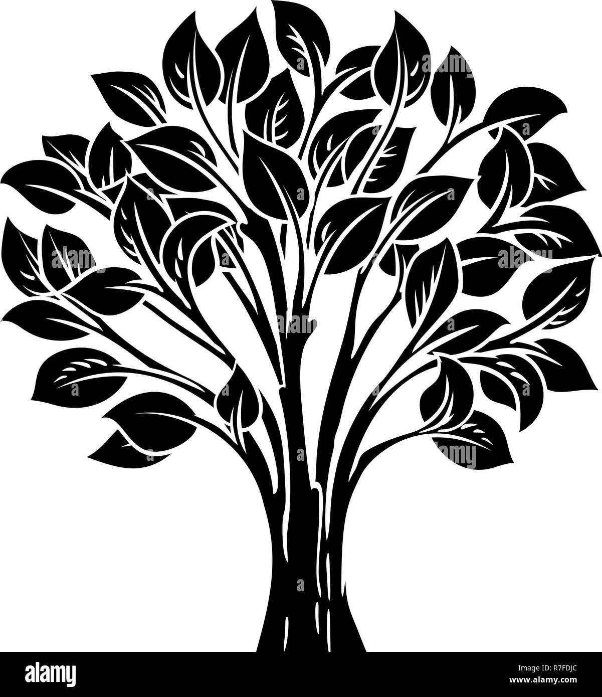 Tree trees leaf leaves Black and White Stock Photos & Images - Alamy
