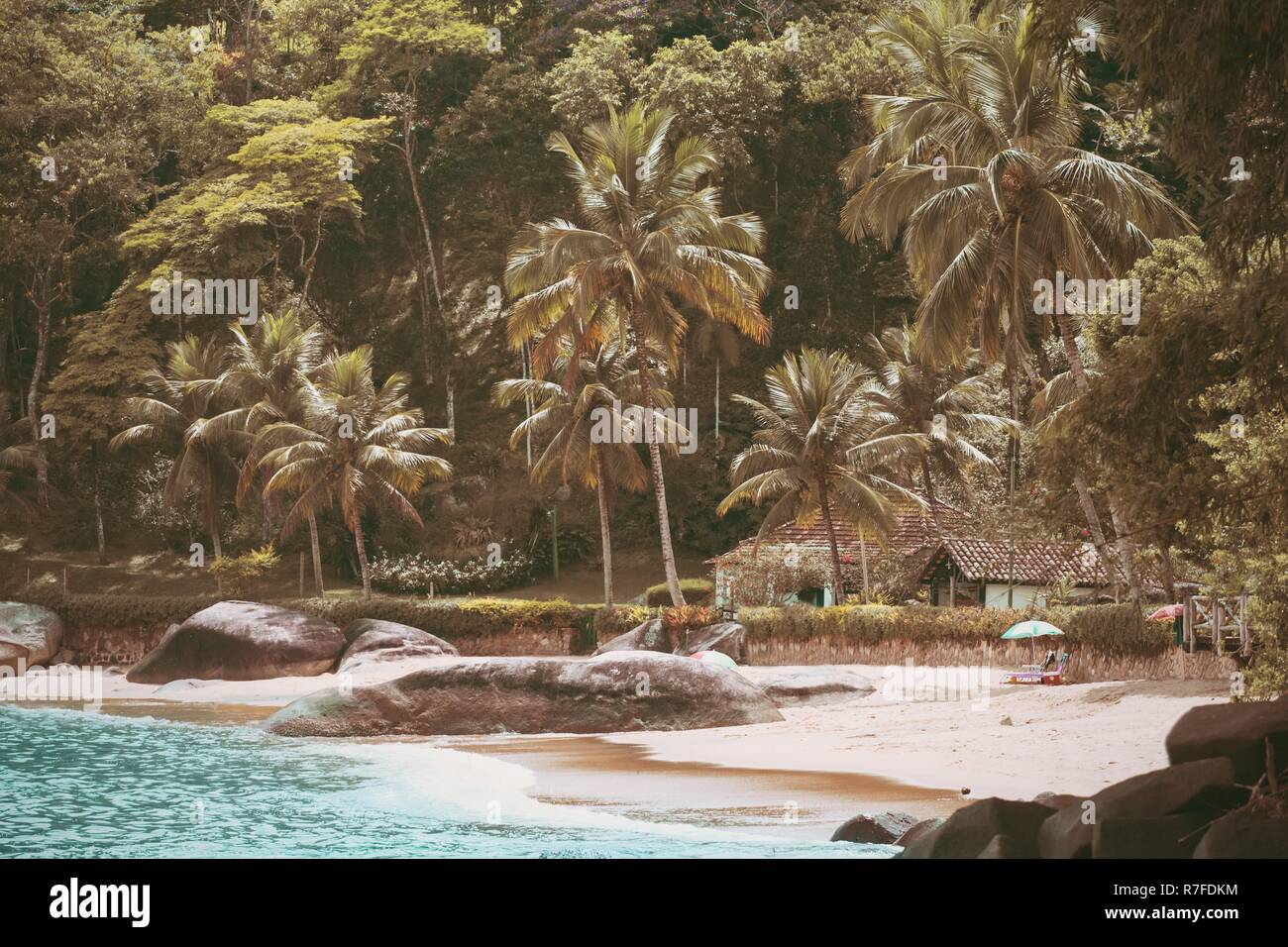 empty brazilean tropical beach with the house and lot of trees Stock ...