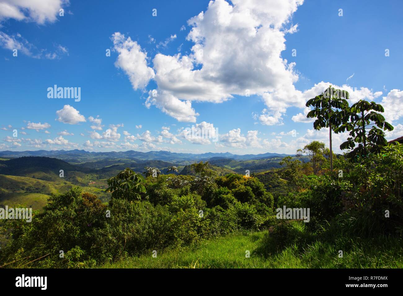 Jungle and blue sky - Brazilian tropical landscape, Brazil Stock Photo ...