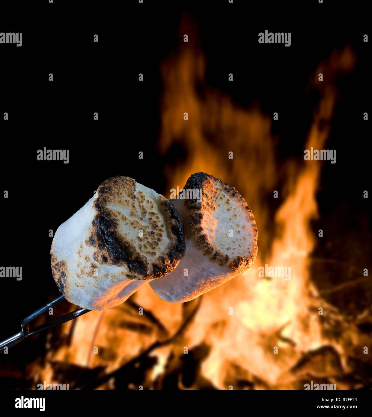 Two marshmallows being roasted over a campfire to make smores Stock ...