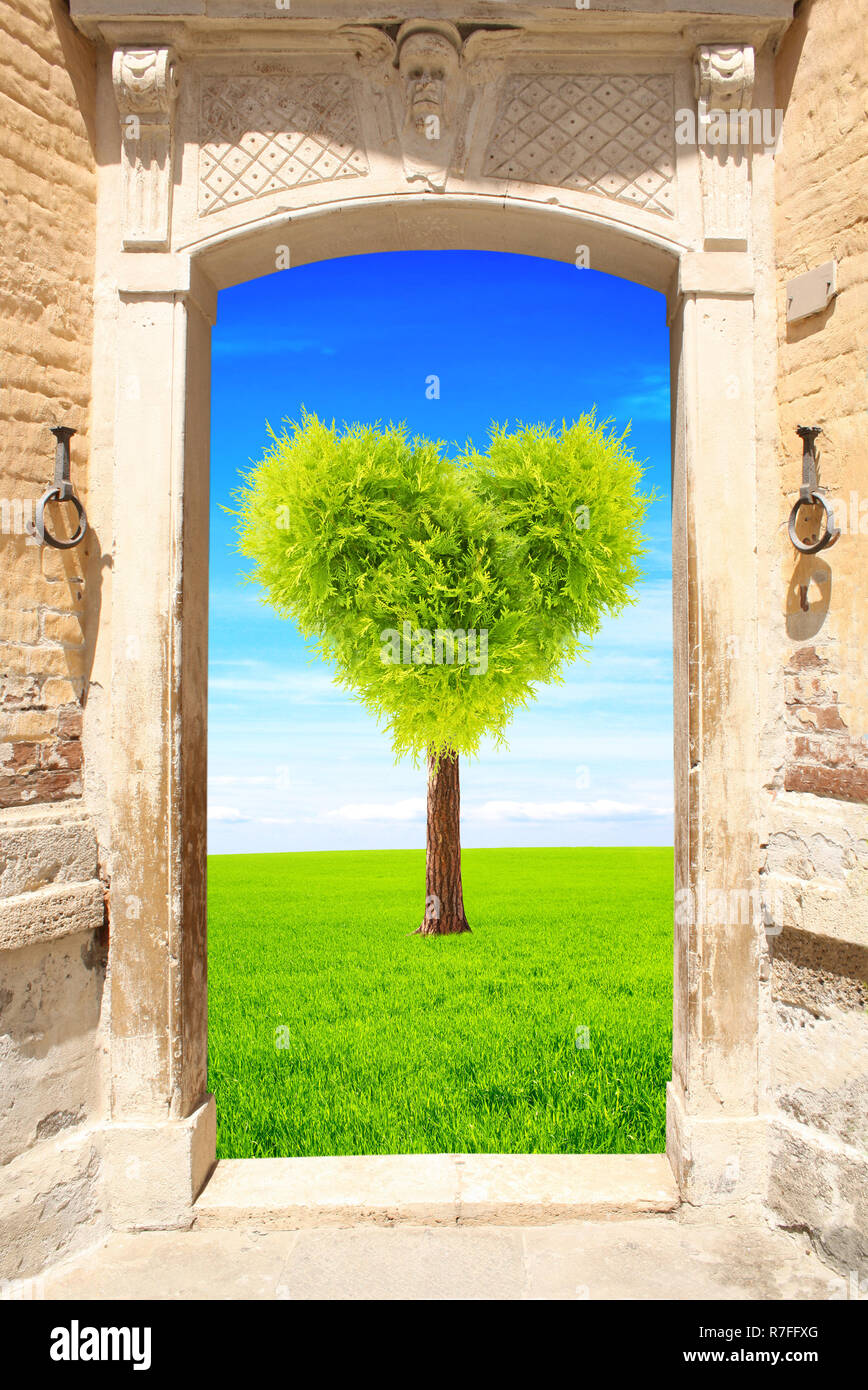 Freedom open door green field hi-res stock photography and images - Alamy
