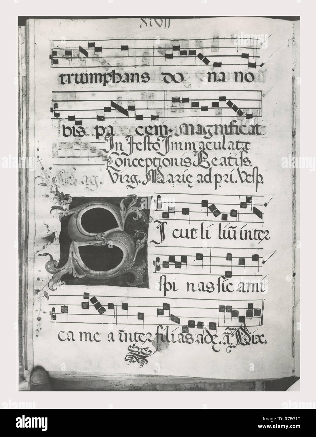 Tuscany Siena Montalcino Museo Civico, this is my Italy, the italian ...