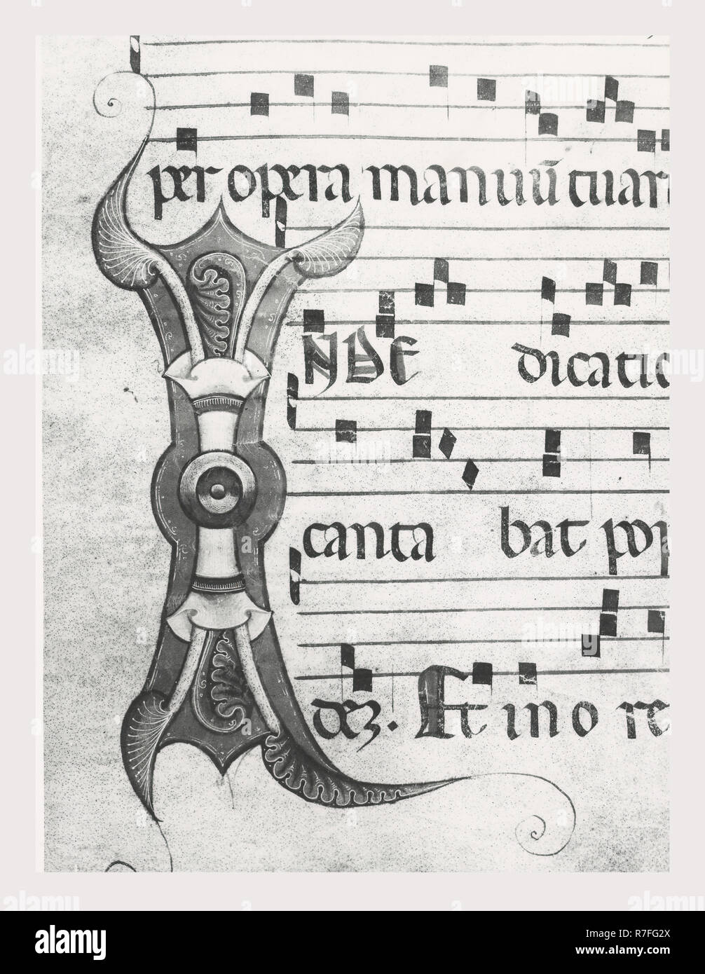 Tuscany Siena Montalcino Museo Civico, this is my Italy, the italian ...