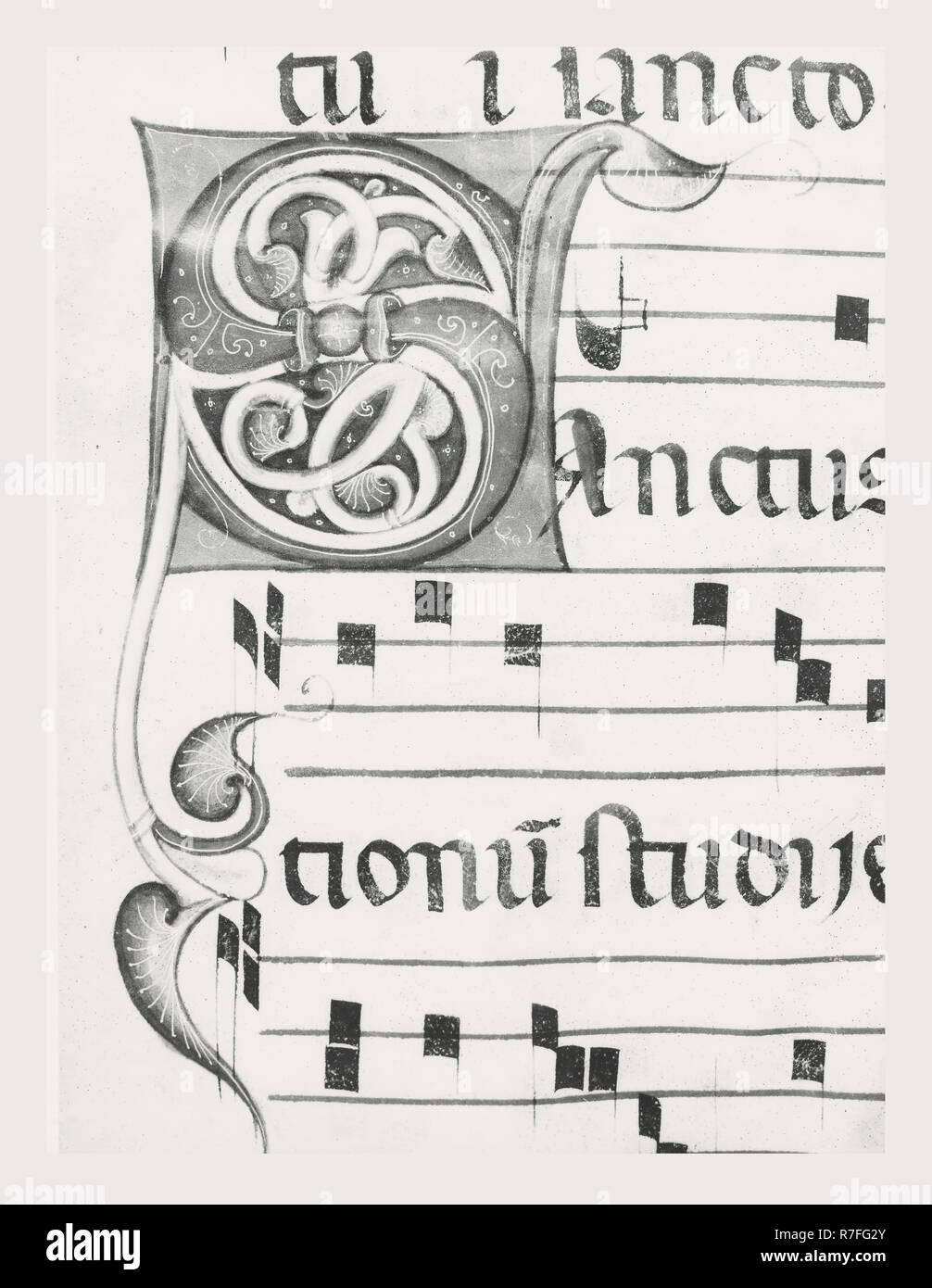 Tuscany Siena Montalcino Museo Civico, this is my Italy, the italian ...