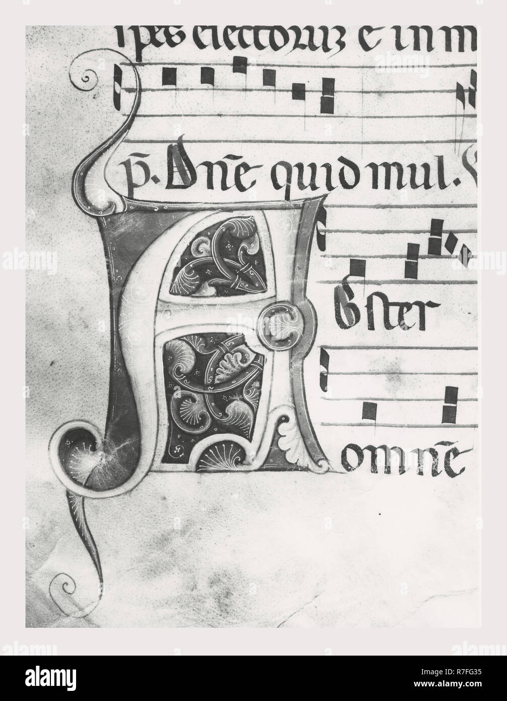 Tuscany Siena Montalcino Museo Civico, this is my Italy, the italian ...