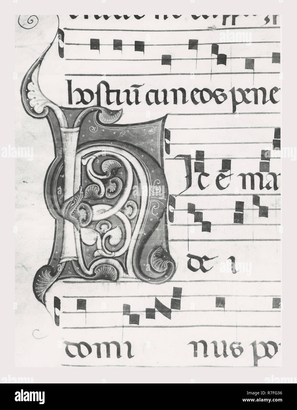 Tuscany Siena Montalcino Museo Civico, this is my Italy, the italian ...