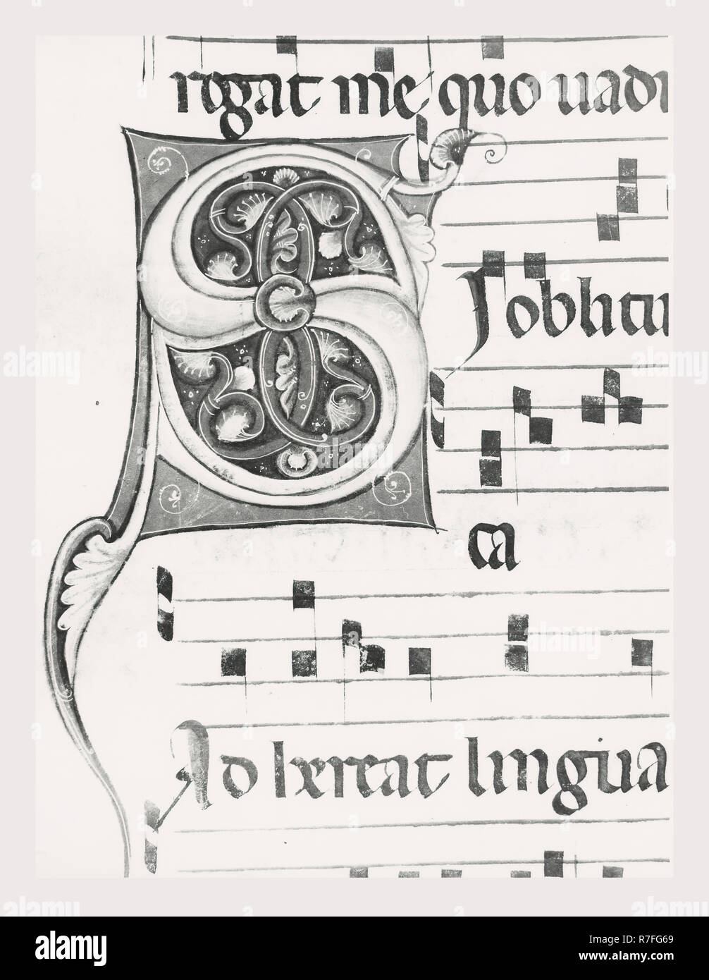 Tuscany Siena Montalcino Museo Civico, this is my Italy, the italian ...