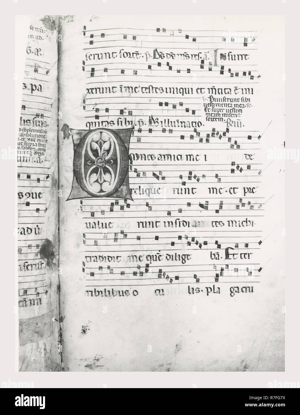 Tuscany Siena Montalcino Museo Civico, this is my Italy, the italian ...