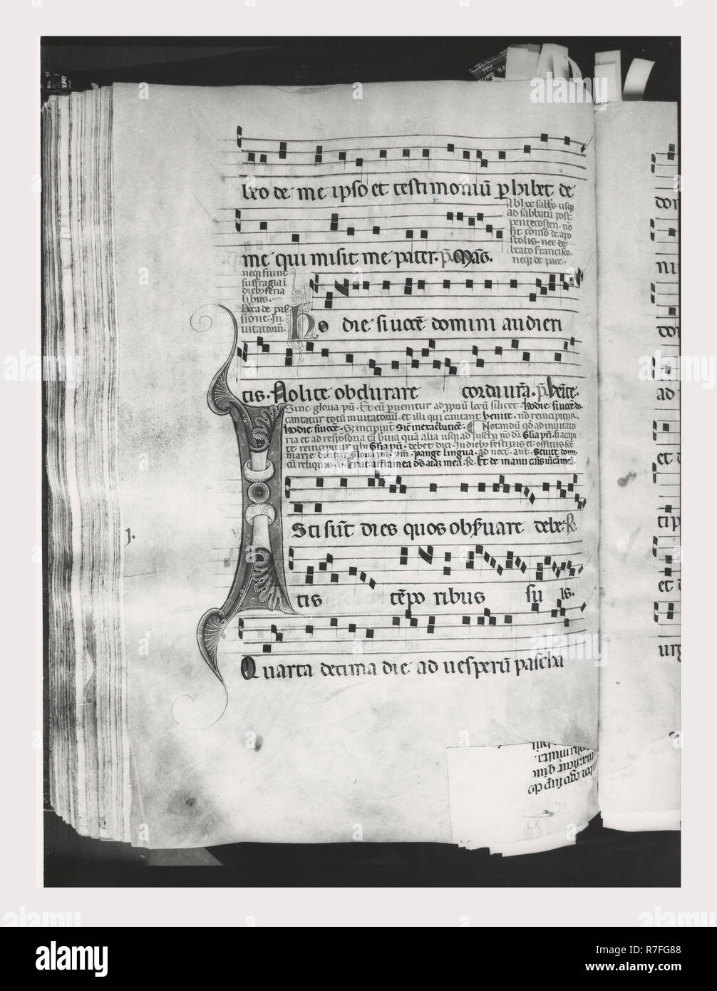 Tuscany Siena Montalcino Museo Civico, this is my Italy, the italian ...